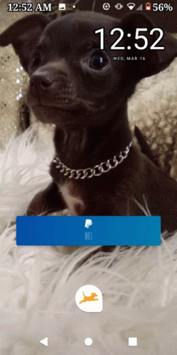 Mouse GIF - Mouse - Discover & Share GIFs