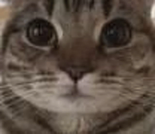 He Is GIF - He Is Watching - Discover & Share GIFs