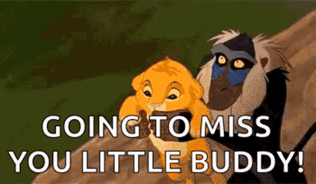 Lion King Lion King Simba 탐색 및 공유