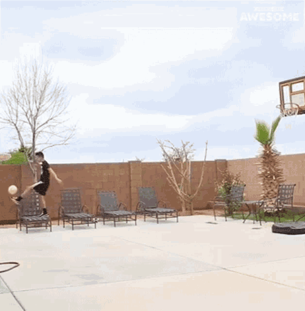 Basketball Trick Shot Basketball Trick Shot Shoot Descobrir E Compartilhar S
