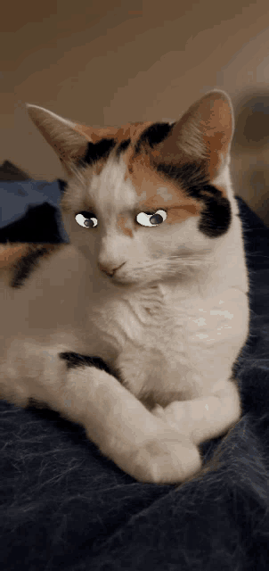 Blink Eye Blink Eye Blinking Discover And Share S