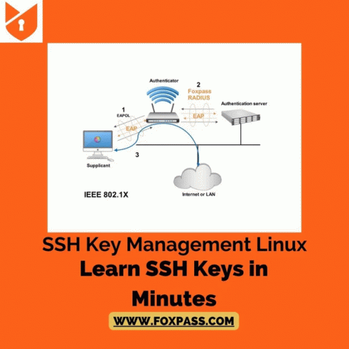 Ssh Key Management GIF - Ssh Key Management - Scopri e condividi GIF