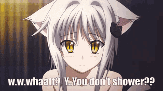 Neko Highschool Dxd Neko Highschool Dxd Discord 탐색 및 공유