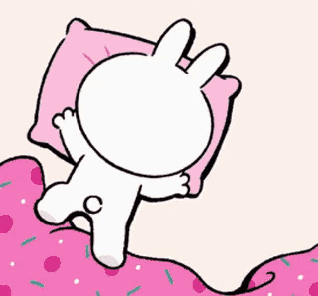 Cony Bunny Cony Bunny Sleep Ləri Kəşf Edin Və Paylaşın