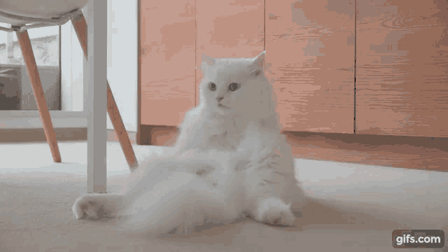 Coco Kittisaurus Kittisaurus Coco Kittisaurus Kittisaurus Kittisaurus Villains Leri