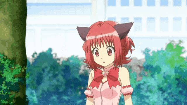Cat Ears Cat Ears Descubrir Y Compartir S
