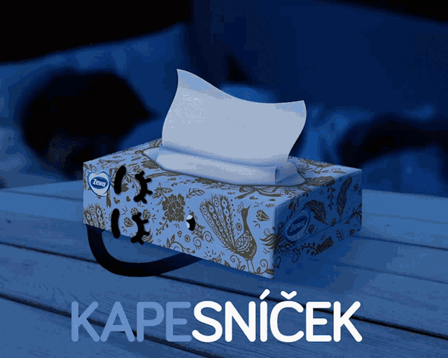 Tissue Napkin Tissue Napkin Zewa Discover And Share S