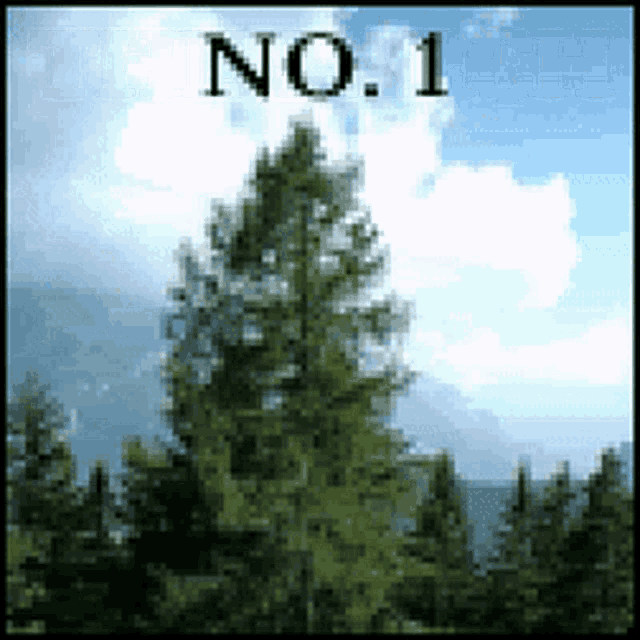 Monty Python Monty Python The Larch Discover And Share S