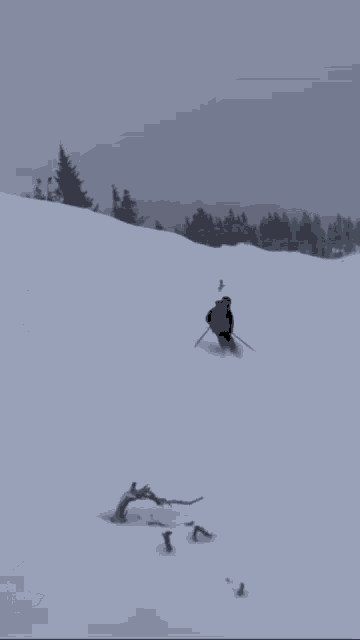 Skiing Skiing Discover And Share S
