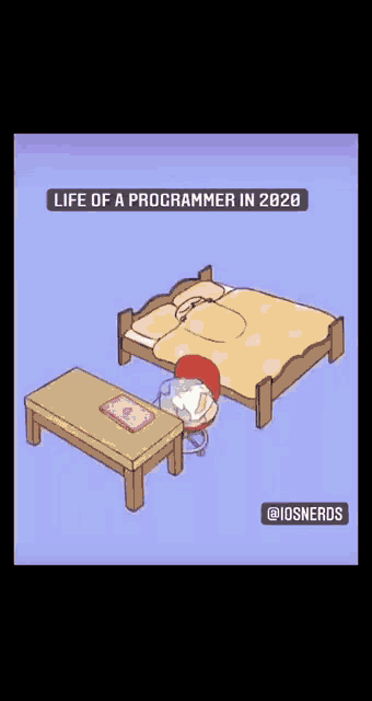 Life Programmer GIF - Life Programmer Developer - Discover & Share GIFs