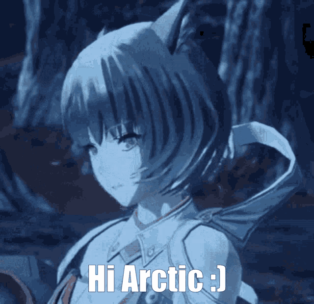 Arctic Hi Arctic Arctic Hi Arctic Arctic Xenoblade Discover And Share S