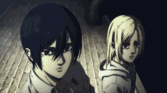Annie Annie Leonhart Annie Annie Leonhart Mikasa Discover And Share S