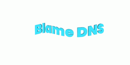 Blame Dns Dns Sticker - Blame Dns Dns Blame - Discover & Share GIFs