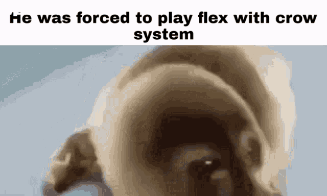 Forced Crow System Forced Crow System Flex Discover And Share S