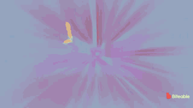 Biteable Biteable Animation Biteable Biteable Animation Work Anniversary Discover