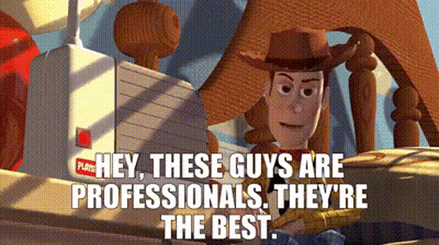 Toy Story Woody Toy Story Woody Hey These Guys Are Professionals Descubre Y Comparte