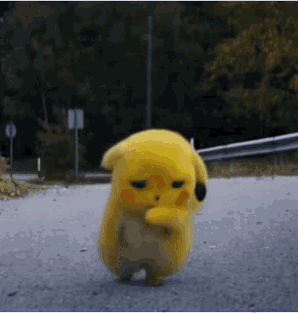 Pikachu Pikachu Discover And Share S