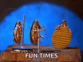 Memes About Roaches Tree Roaches Can Fly On You!! Yikes!!!