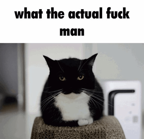 Wtf GIF - Wtf - Discover & Share GIFs