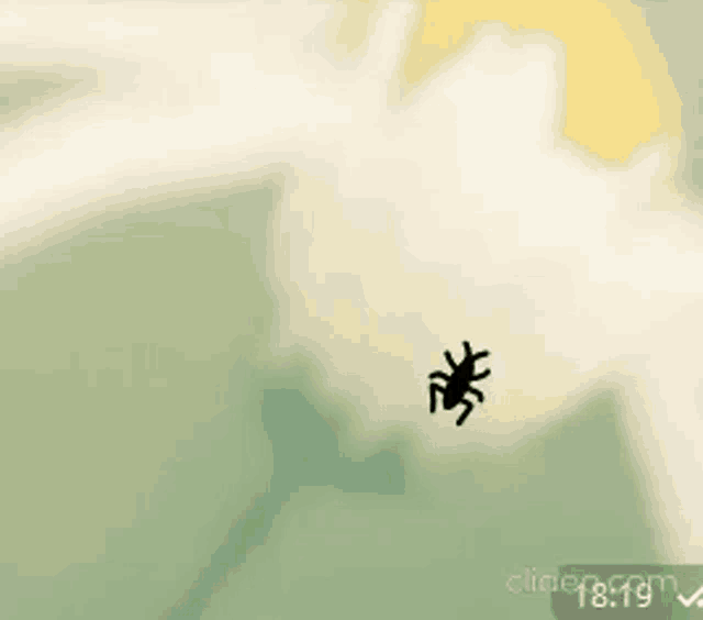 Bug Crawl Bug Crawl Animation Discover And Share S