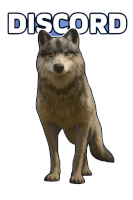 Wolf Sticker - Wolf - Discover & Share GIFs