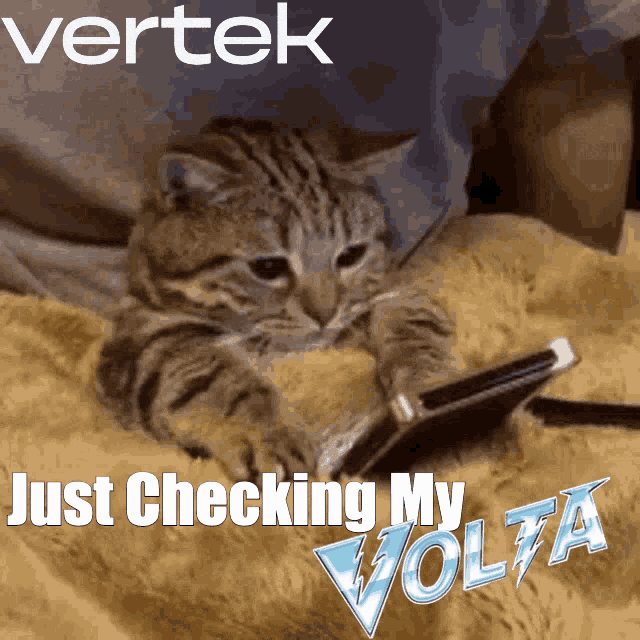 Vertek Defi Vertek Labs Vertek Defi Vertek Labs Vertek Discover