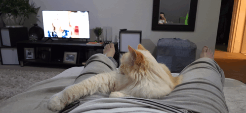 Lazy Cat GIF - Lazy cat - Discover & Share GIFs