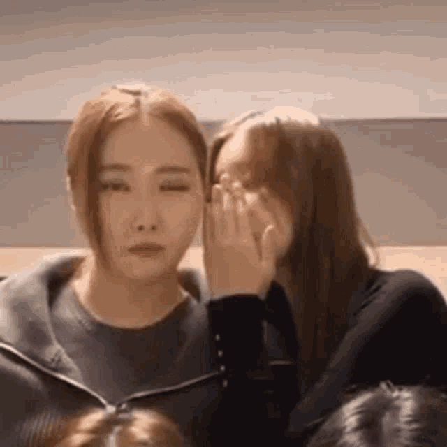 Purplebeck Mini Purplebeck Mini Seyeon Discover And Share S
