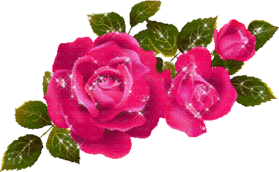Rosa Sticker - Rosa - Discover & Share GIFs