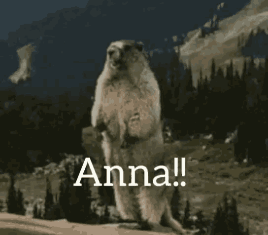 Yell Anna Yell Anna Anna Wolf Discover And Share S
