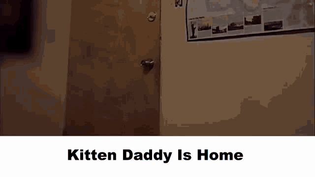 Discord Discord Mod Discord Discord Mod Kitten Откриване и споделяне на файлове