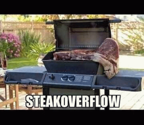 Steakoverflow GIF - Steakoverflow - Discover & Share GIFs