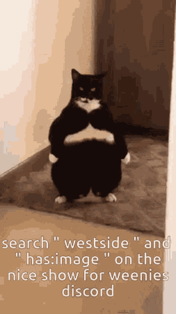 Nice Show For Weenies Object Show GIF - Nice Show For Weenies Object ... Nice Show For Weenies Object Show GIF - Nice Show For Weenies Object ...