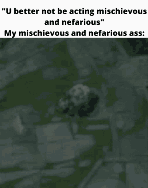 Mischievous And Nefarious Mischievous And Nefarious Discover And Share S