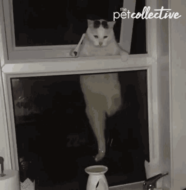 Struggling Let Me In GIF - Struggling Let Me In Trying - Discover ... Struggling Let Me In GIF - Struggling Let Me In Trying - Discover ...