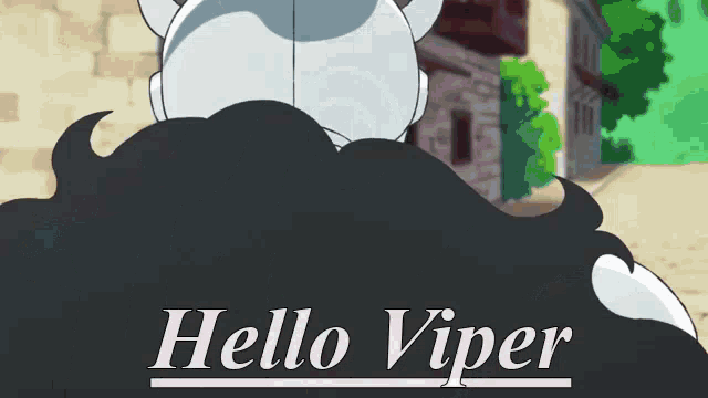 Hello Viper Hello Viper Discover And Share S