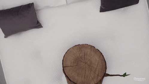 Sleep Like A Log Sleeping Log GIF - Sleep like a log Sleeping log - Discover & Share GIFs