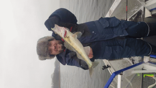 Fish GIF - Fish - Discover & Share GIFs