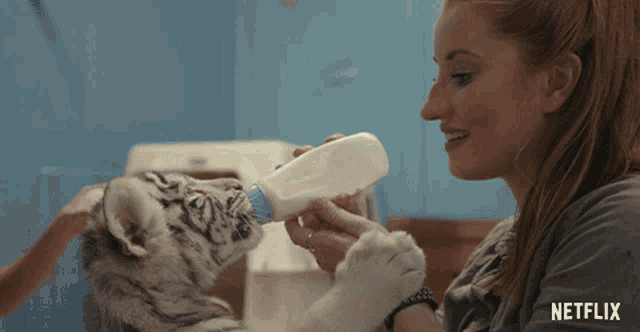 Nurse Nursing Nurse Nursing Cub Discover And Share S