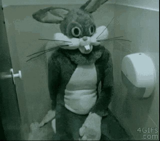 Bunny Sit Here Bunny Sit Here Toilet Descubre Y Comparte