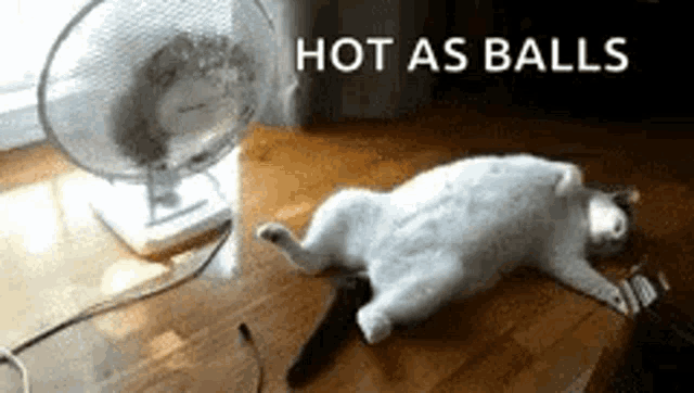 Hot As Balls Fan Hot As Balls Fan Cst Discover And Share S