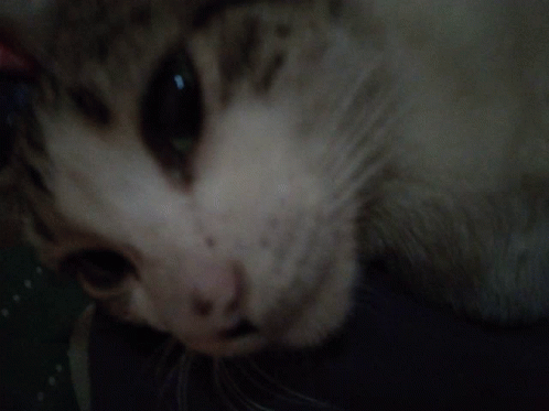 Tsk Tsk GIF - Tsk Tsk - Discover & Share GIFs