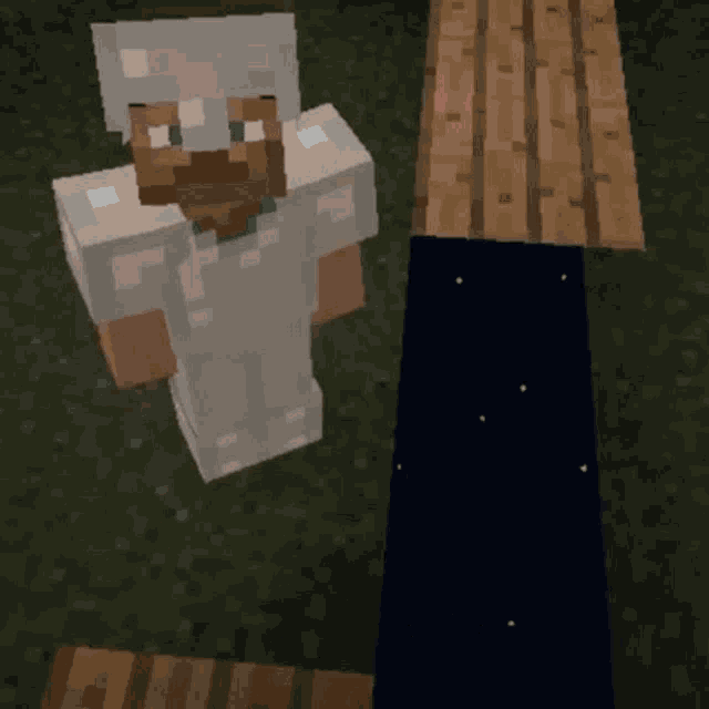 Rapunzel Minecraft Rapunzel Minecraft Steve Discover And Share S