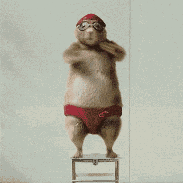 Fat Happy Dance Fat Happy Dance Descobrir E Compartilhar S
