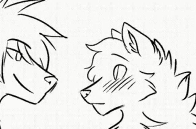 Furry Kiss Furry Kiss Meme Temukan Bagikan