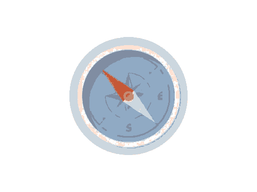 Compass S Wiffle Images