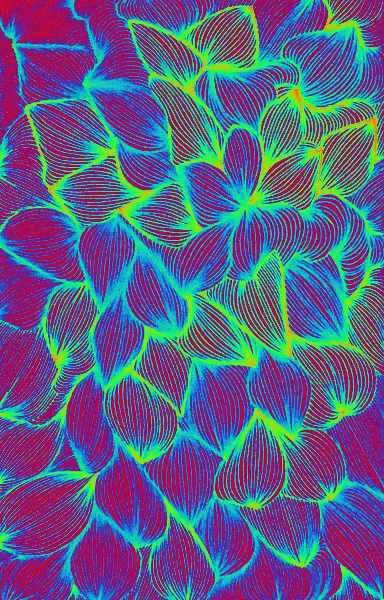 Lsd Lsd Discover And Share S