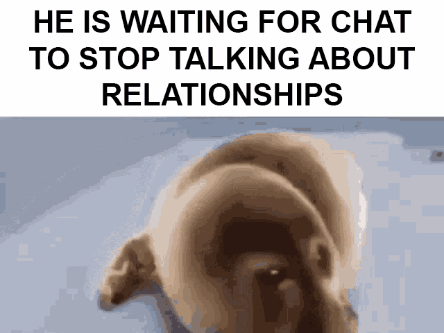 Discord Chat Discord Chat Relationship Discover And Share S