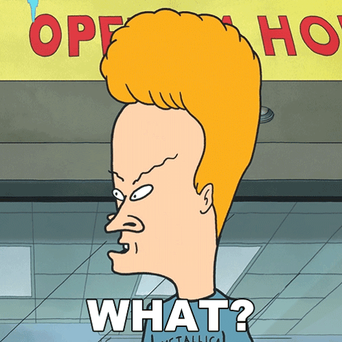 What Beavis GIF - What Beavis Mike judge's beavis and butt-head ...