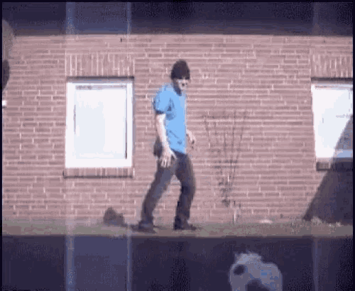 Breakdance Cat Breakdance Cat Discover And Share S